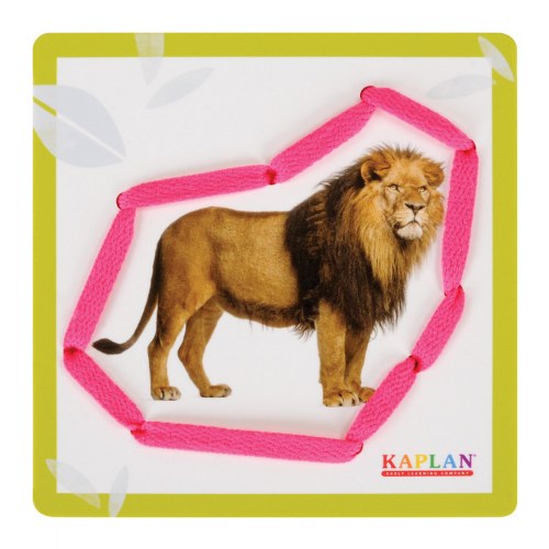 Kaplan Animal Lacing Boards