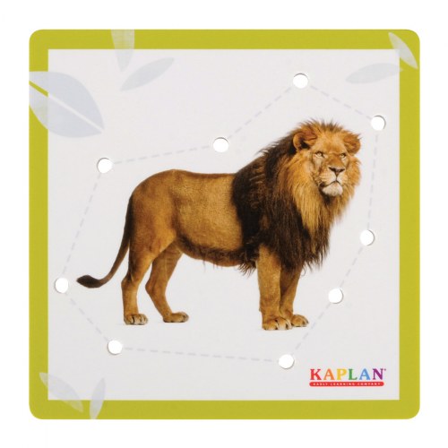 Kaplan Animal Lacing Boards