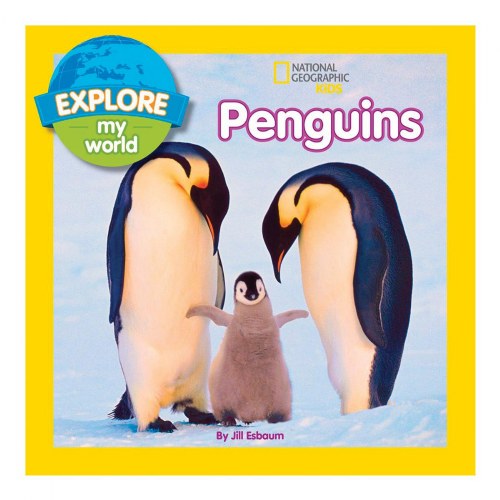 Explore My World Paperback Books - Set of 4