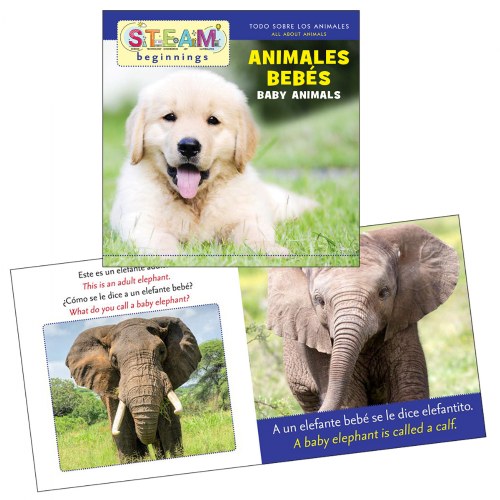 All About Animals Bilingual Board Books - Set of 4