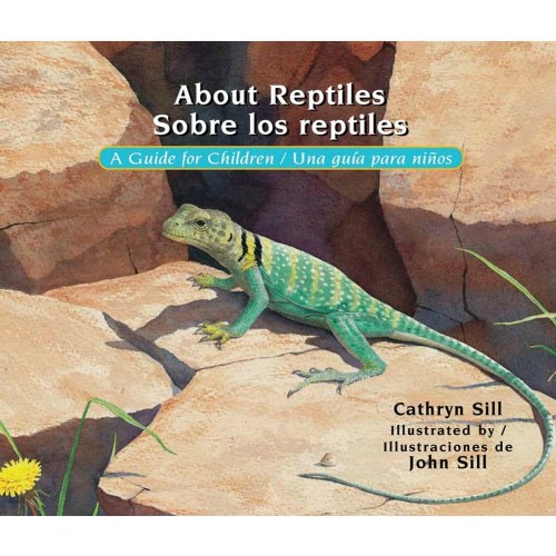 Bilingual Science Paperback Books - Set of 4