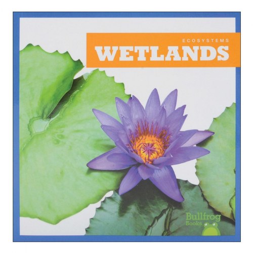 Ecosystems -Amazing and Diverse Places STEM Books - Set of 6