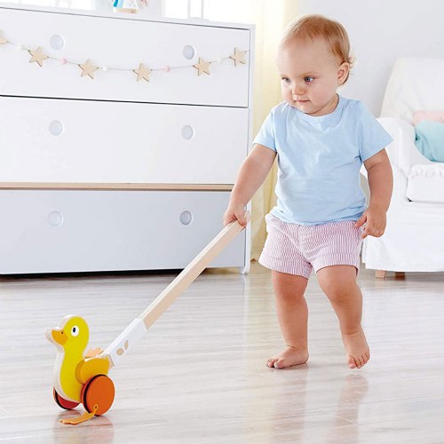 Duck Push Toy