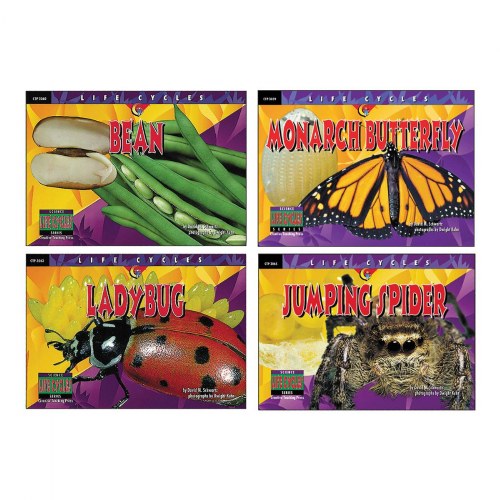 Life Cycle Books - Set of 12