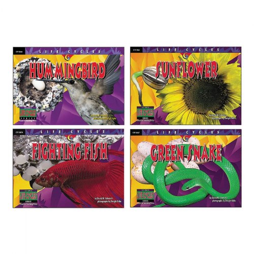 Life Cycle Books - Set of 12