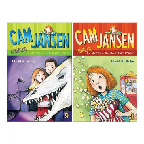 Cam Jansen Books - Set of 8