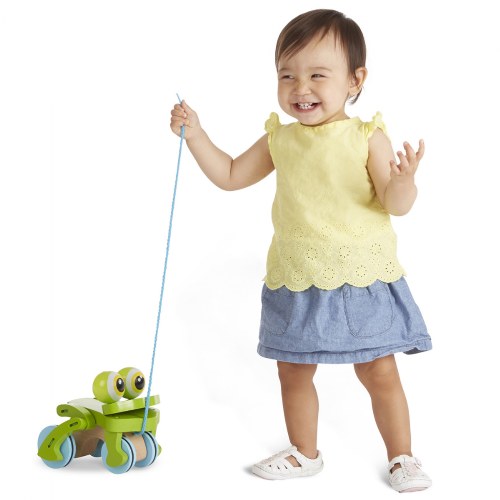 Frolicking Frog Pull Toy