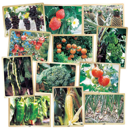 Fresh Fruit and Vegetable Puzzles - Set of 12