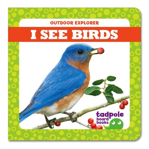 I See Board Books - Set of 4