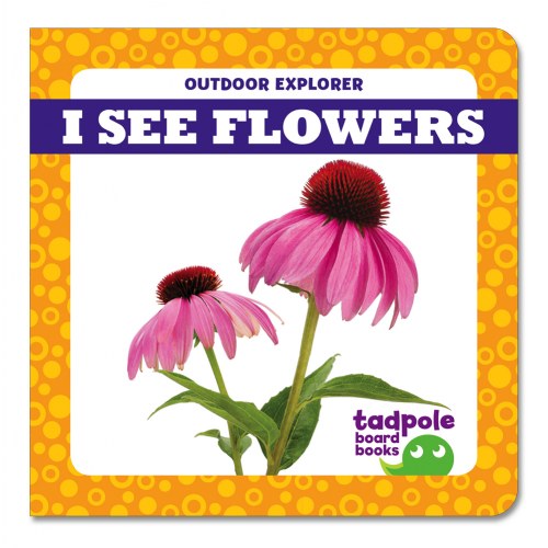 I See Board Books - Set of 4