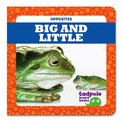 Opposites Board Books - Set of 4