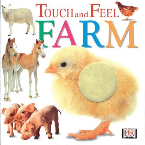 Touch and Feel Board Books - Set of 8