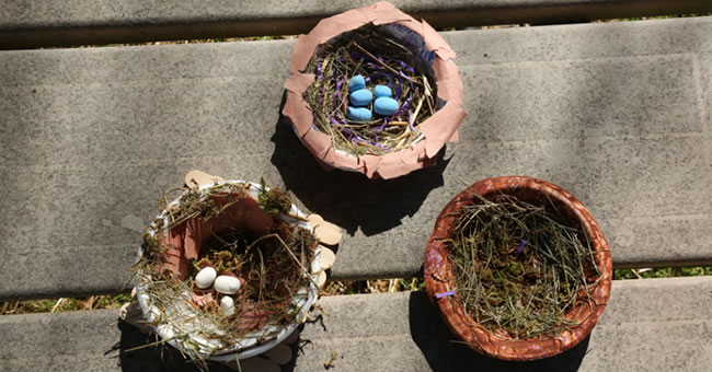 DIY Bird Nests Kaplan Early Learning Company